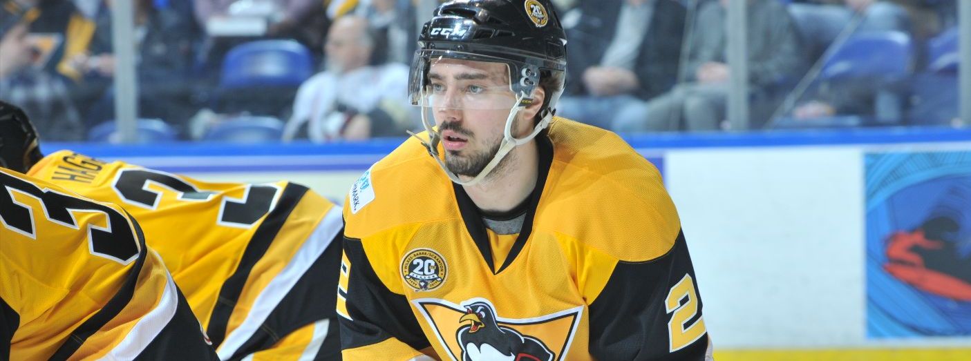 CRAWFORD: (MON) WOLF PACK RECALL JEFF TAYLOR FROM MAINE - Howlings